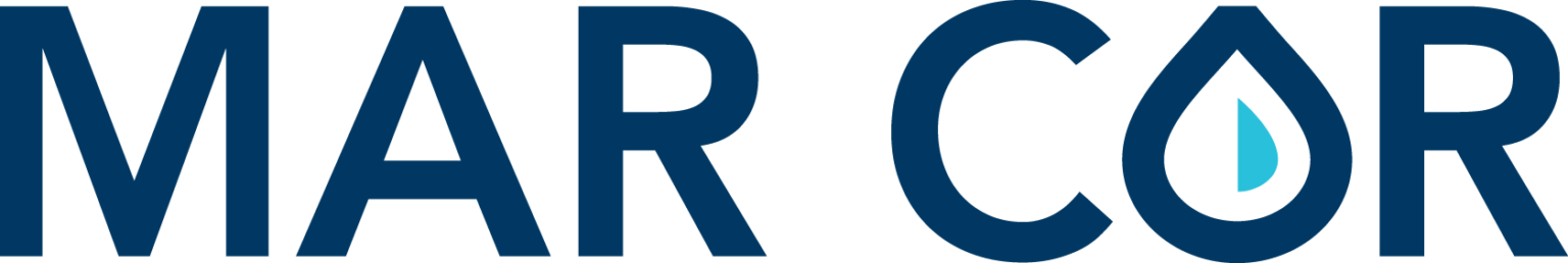 Bridge of Life founded by DaVita